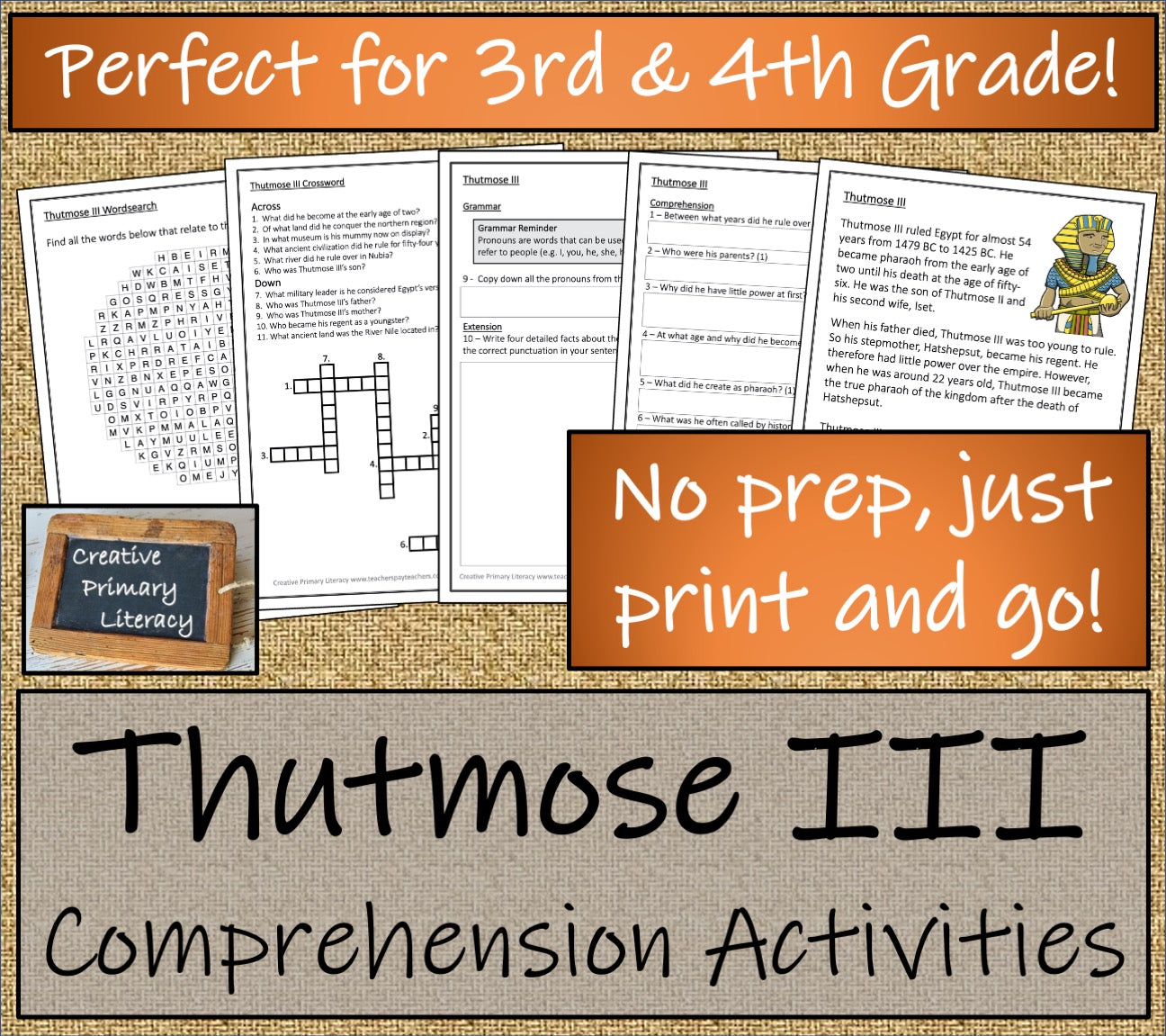 Thutmose III Close Reading Comprehension Activity | 3rd Grade & 4th Gr ...